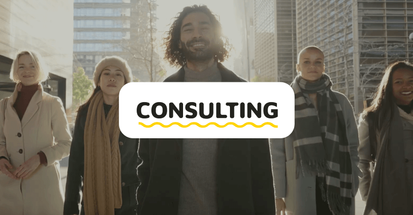 Complete Solution for Consulting Companies - All in One System